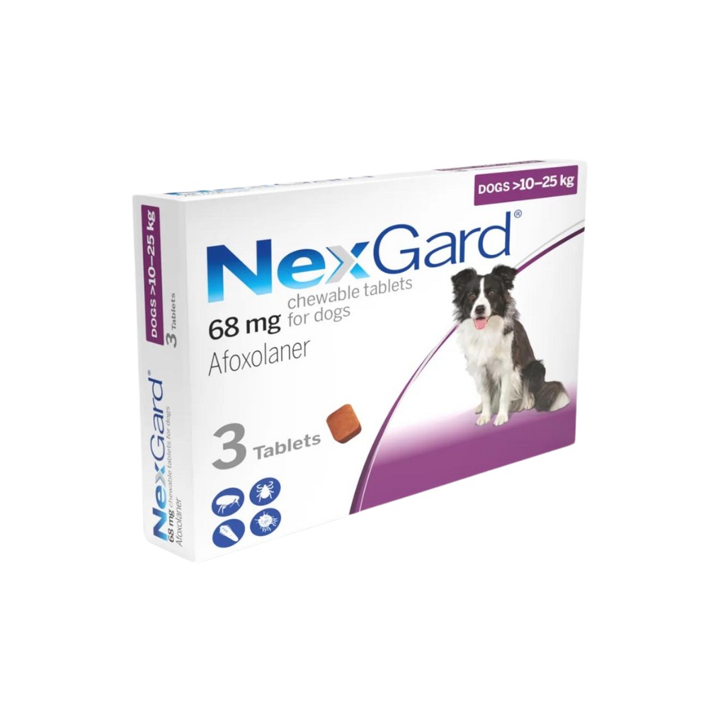 Nexgard Dog L 6tabs (10kg-25kg) - Online Pet Shop | Petico.my